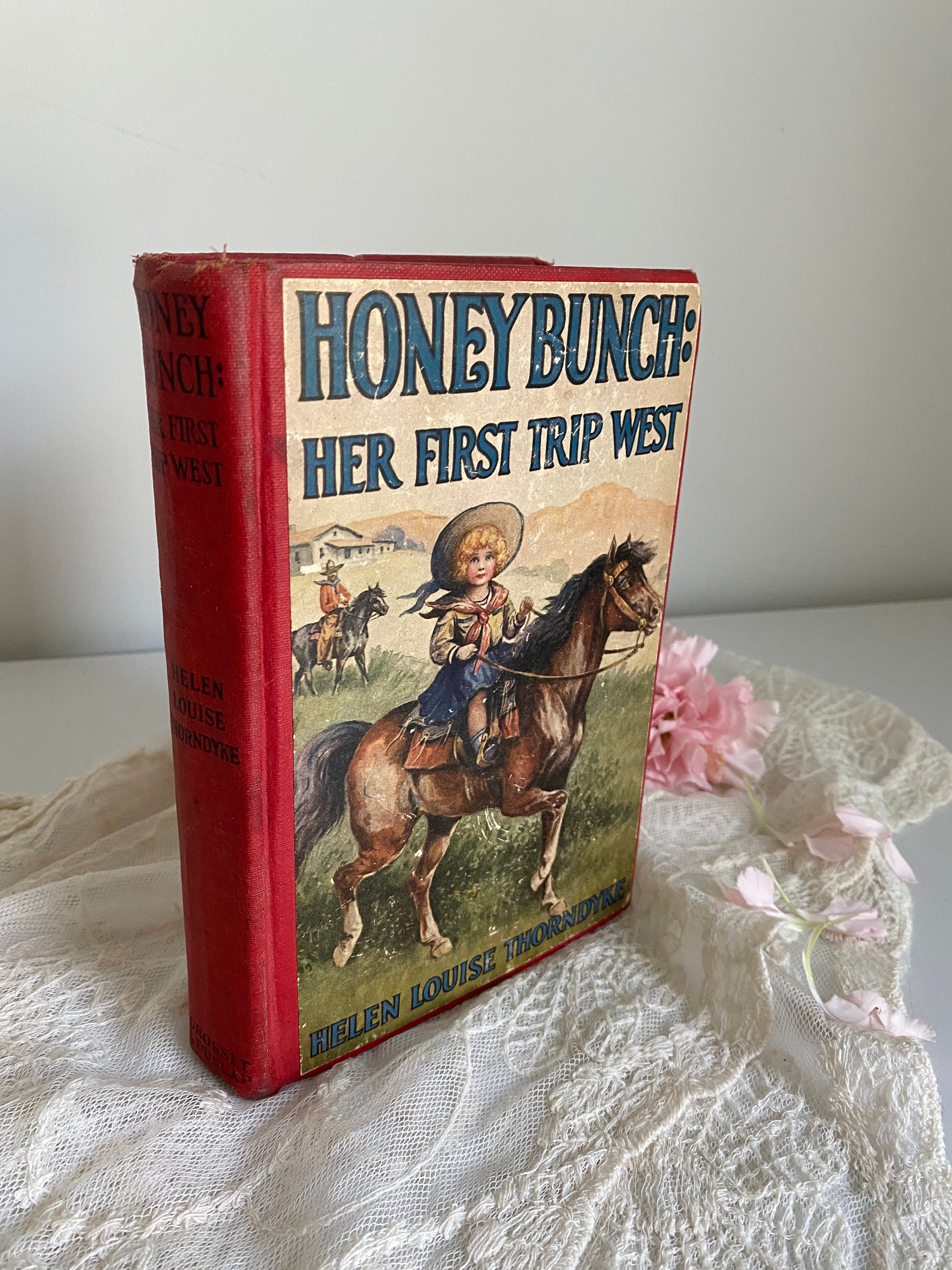 Sweet Vintage Book honey Bunch: Her First Trip West 1928 - Etsy