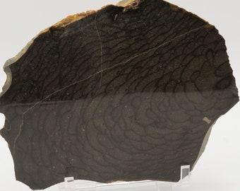 Fish Scale Jasper - Etsy