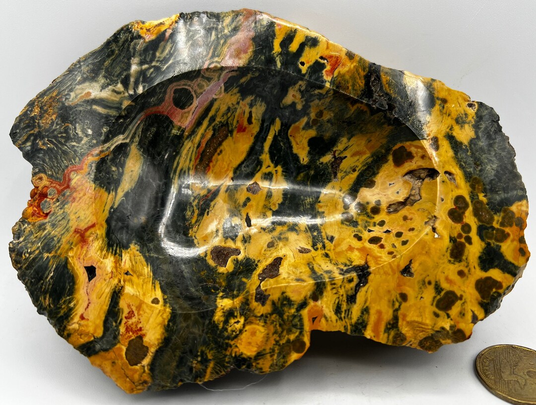 Polished Orbicular Jasper, Jaspe Orbiculaire Poli - Etsy