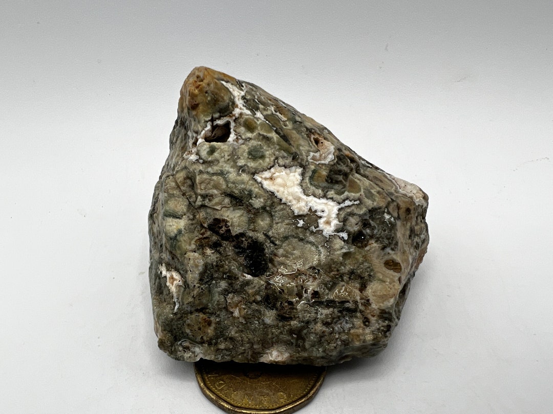 Orbicular Jasper Rough Jaspe Orbiculaire Brut - Etsy