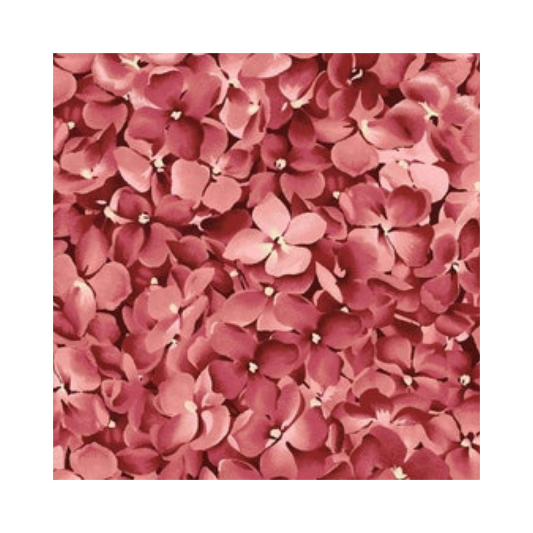 Lexington Fabric Collection for Maywood Studios, Pink Hydrangeas, Last ...