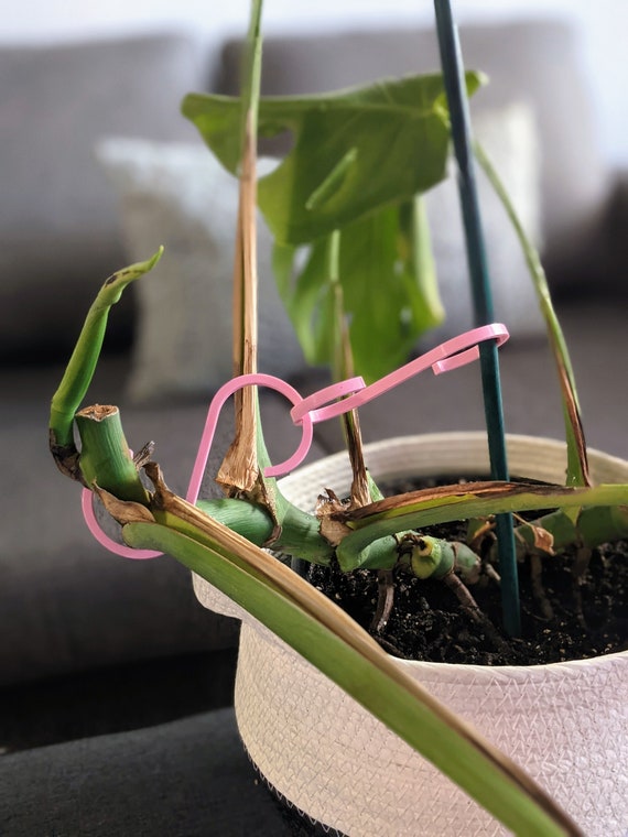 9 Pcs Plant Clips 3 Sizes Variety Garden Vine Clips - Etsy