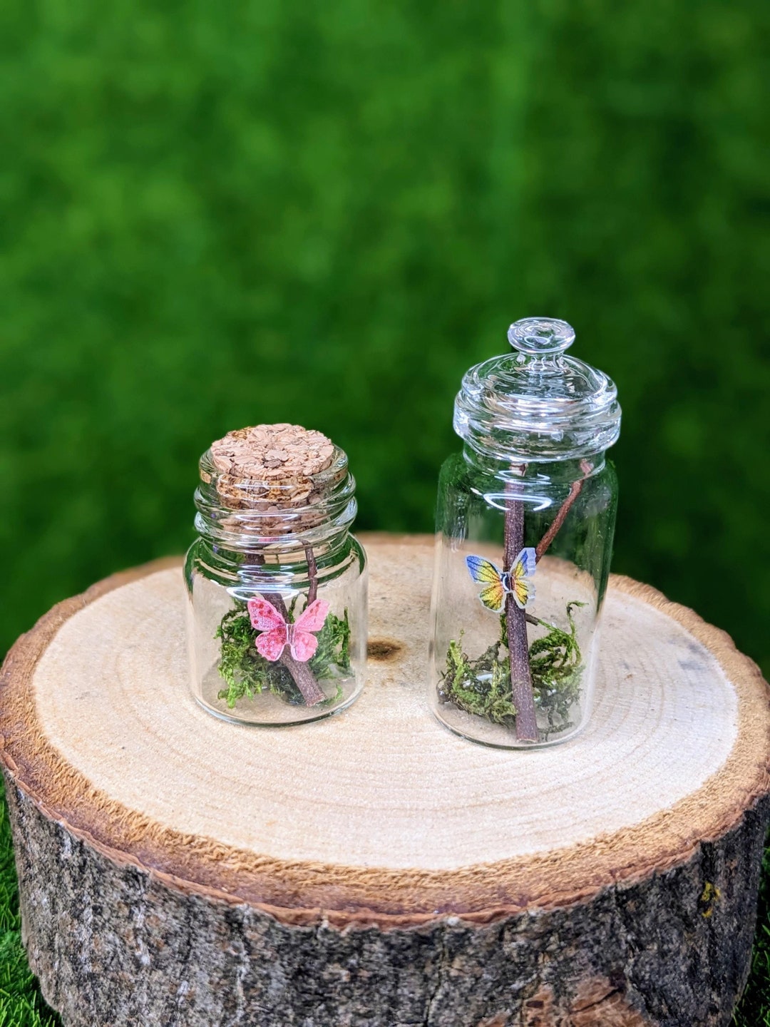 1:12 Butterfly Habitat |dollhouse Butterfly Garden | Miniature ...