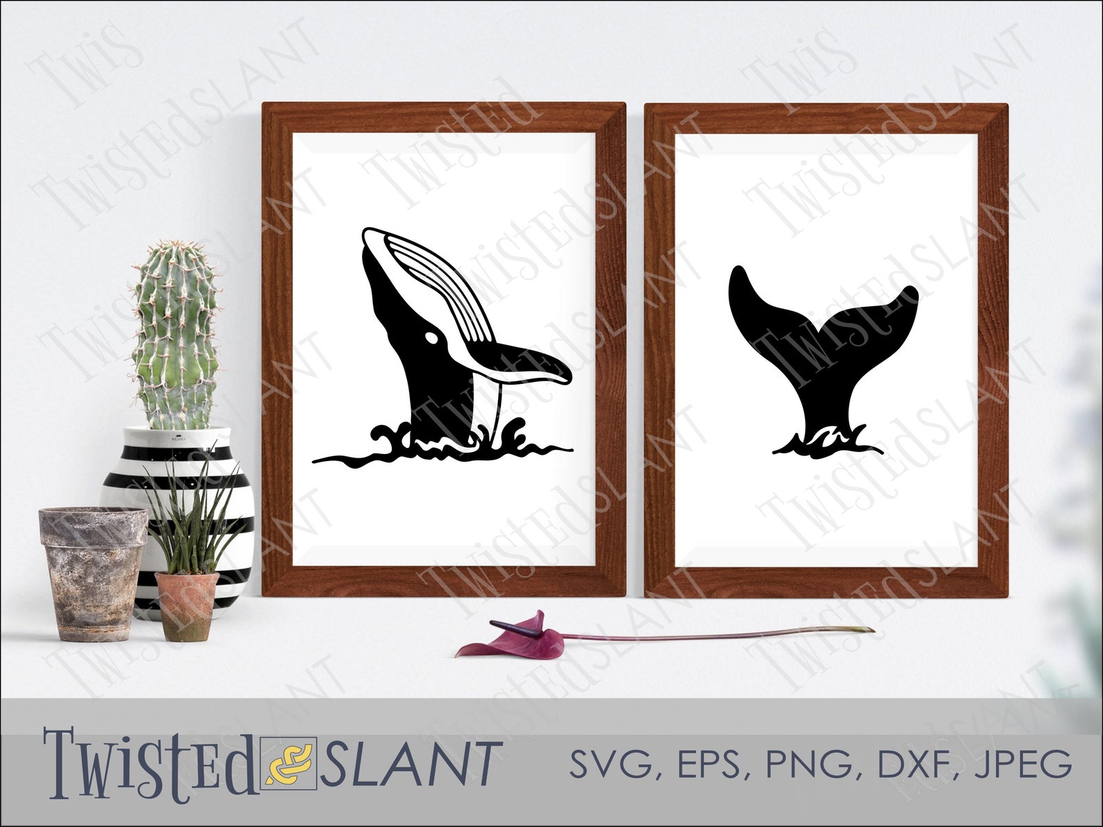 Humpback Whale Svg Digital Download for Cricut and Silhouette - Etsy