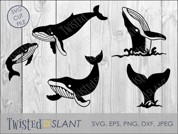 Humpback Whale Svg Digital Download for Cricut and Silhouette - Etsy