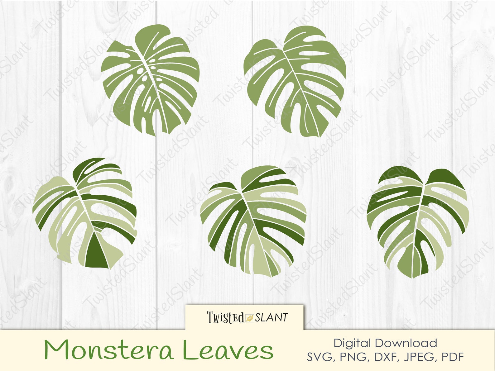 Monstera Leaf Svg | Monstera Svg | Tropical Leaves Svg | Monstera ...