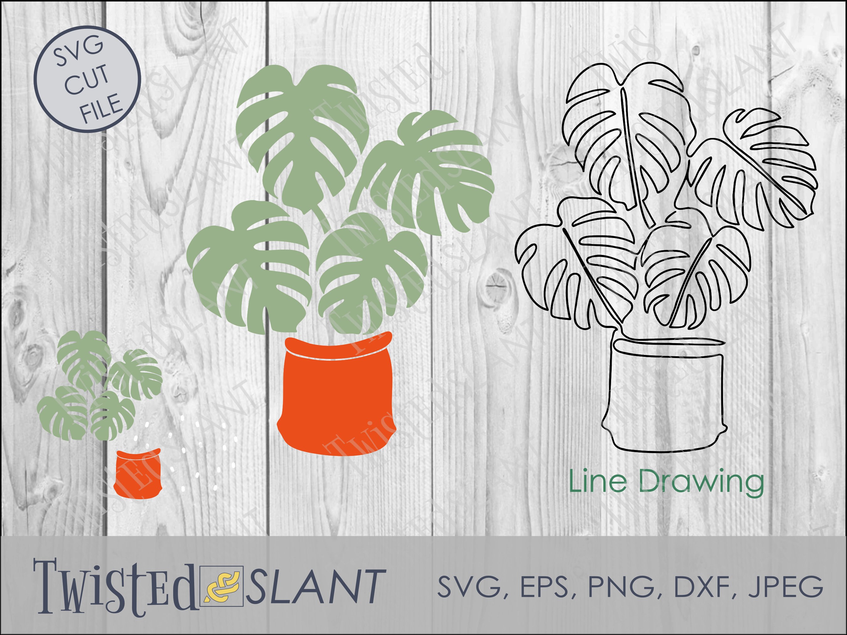 Monstera Svg Cut File for Cricut or Silhouette, Monstera Leaf Svg ...