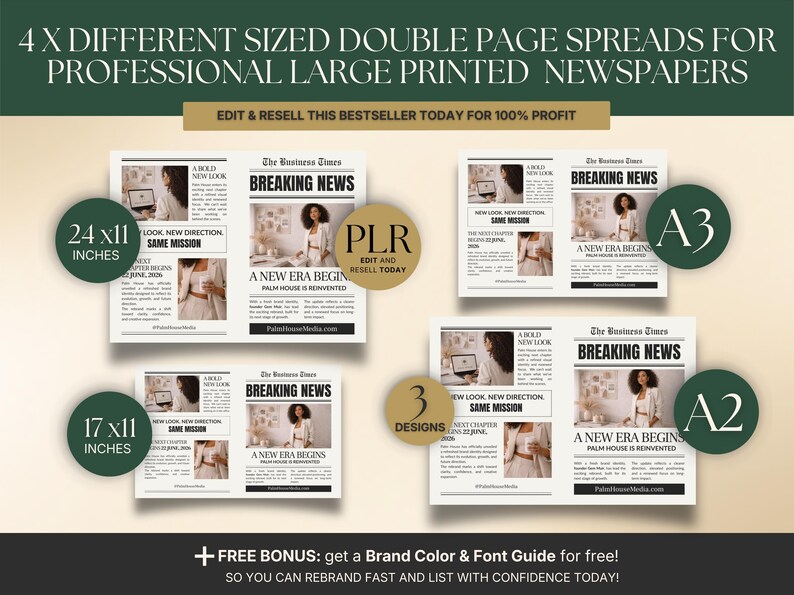 Editable Business Newspaper Template, Canva PLR, Brand Announcement (7 ...