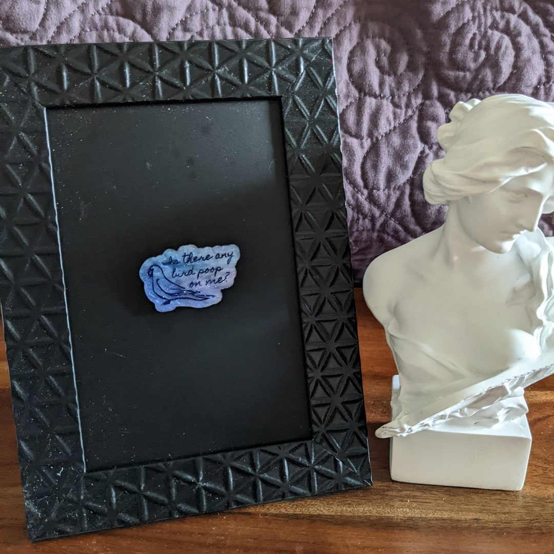 Bird Poop Pin - Etsy