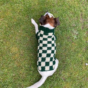 Checkerboard Dog Sweater | Crochet Dog Jumper | Dog Sweater | Pet ...