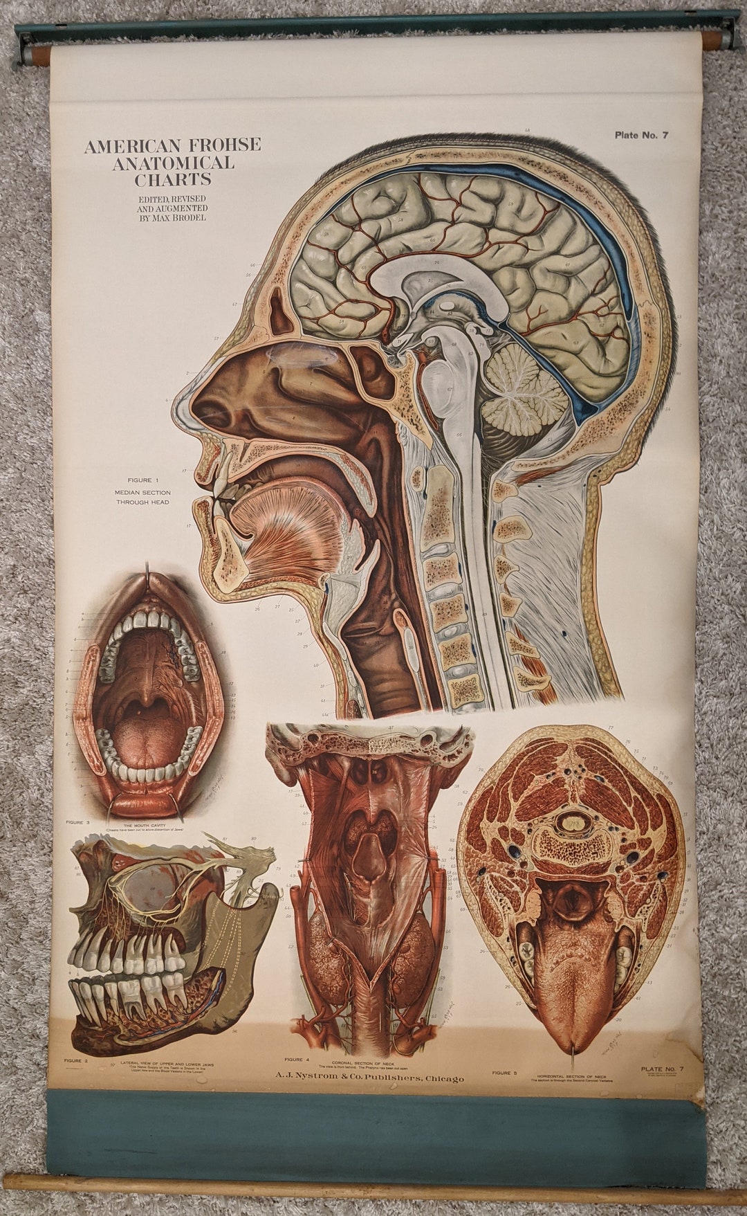 This item is unavailable - Etsy