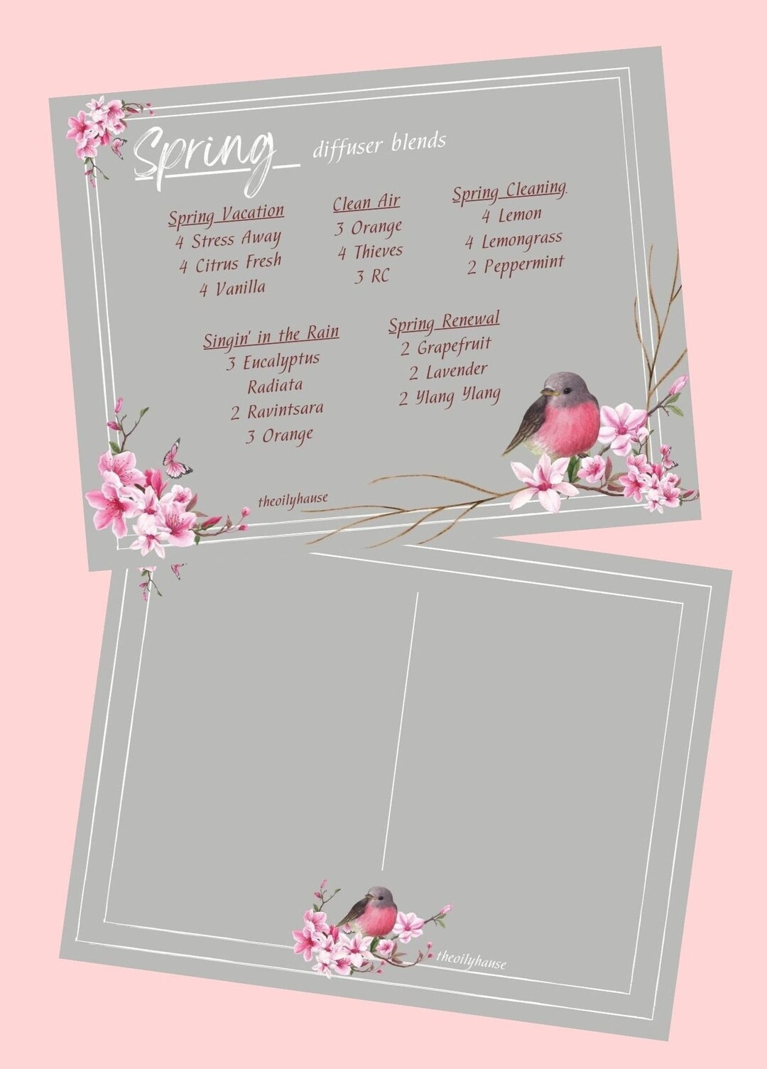 Spring Diffuser Blends Postcard Spring Bird 5 5x4 25 Postcard