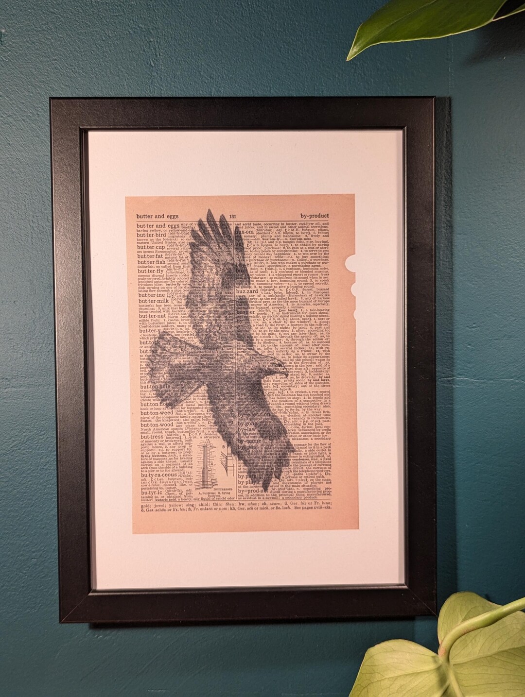 Fine Art Buzzard Illustration Print - Etsy