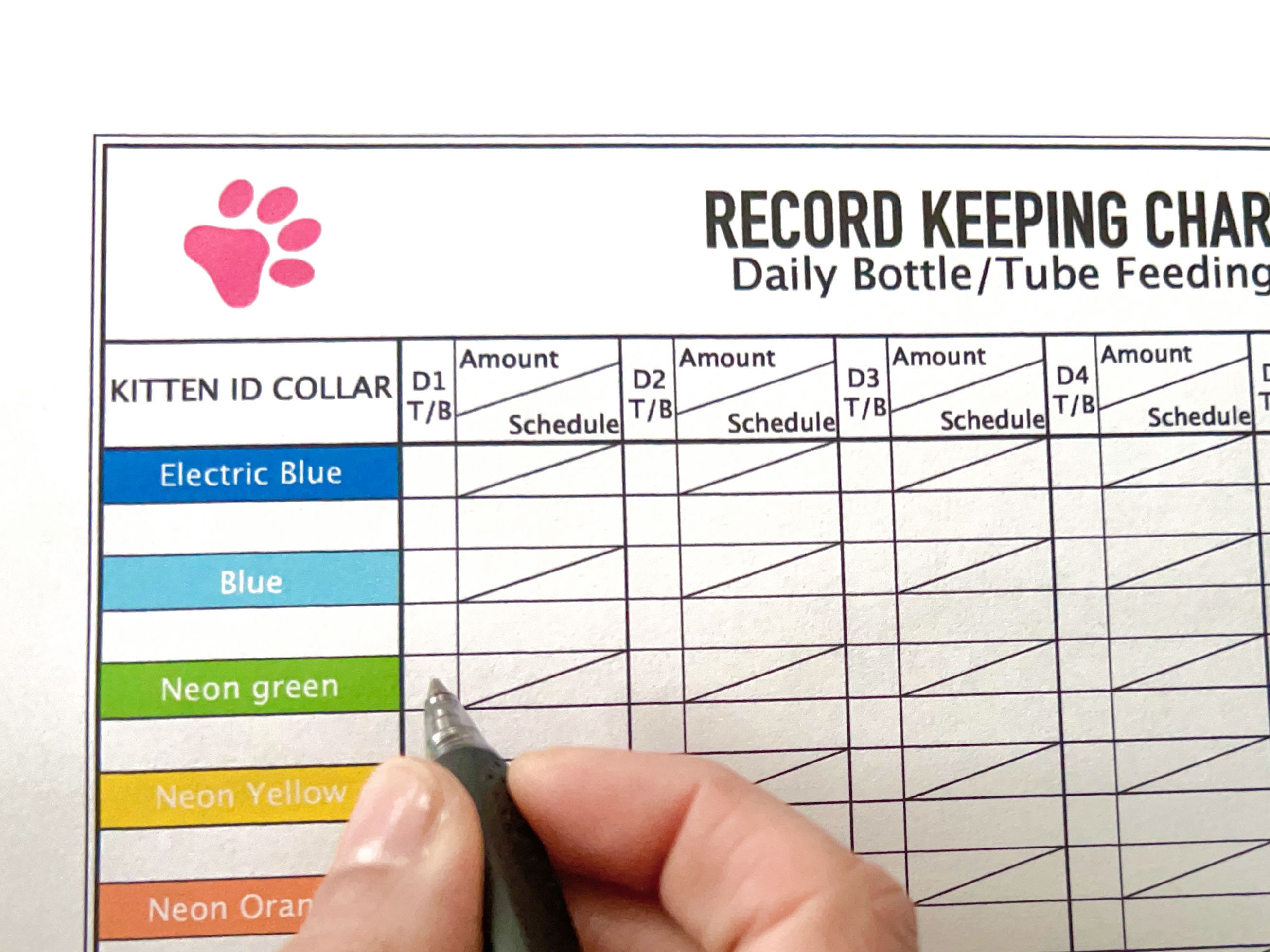 Kitten Breeding Charts in PDF / Whelping Chart Ideal for Breeders ...