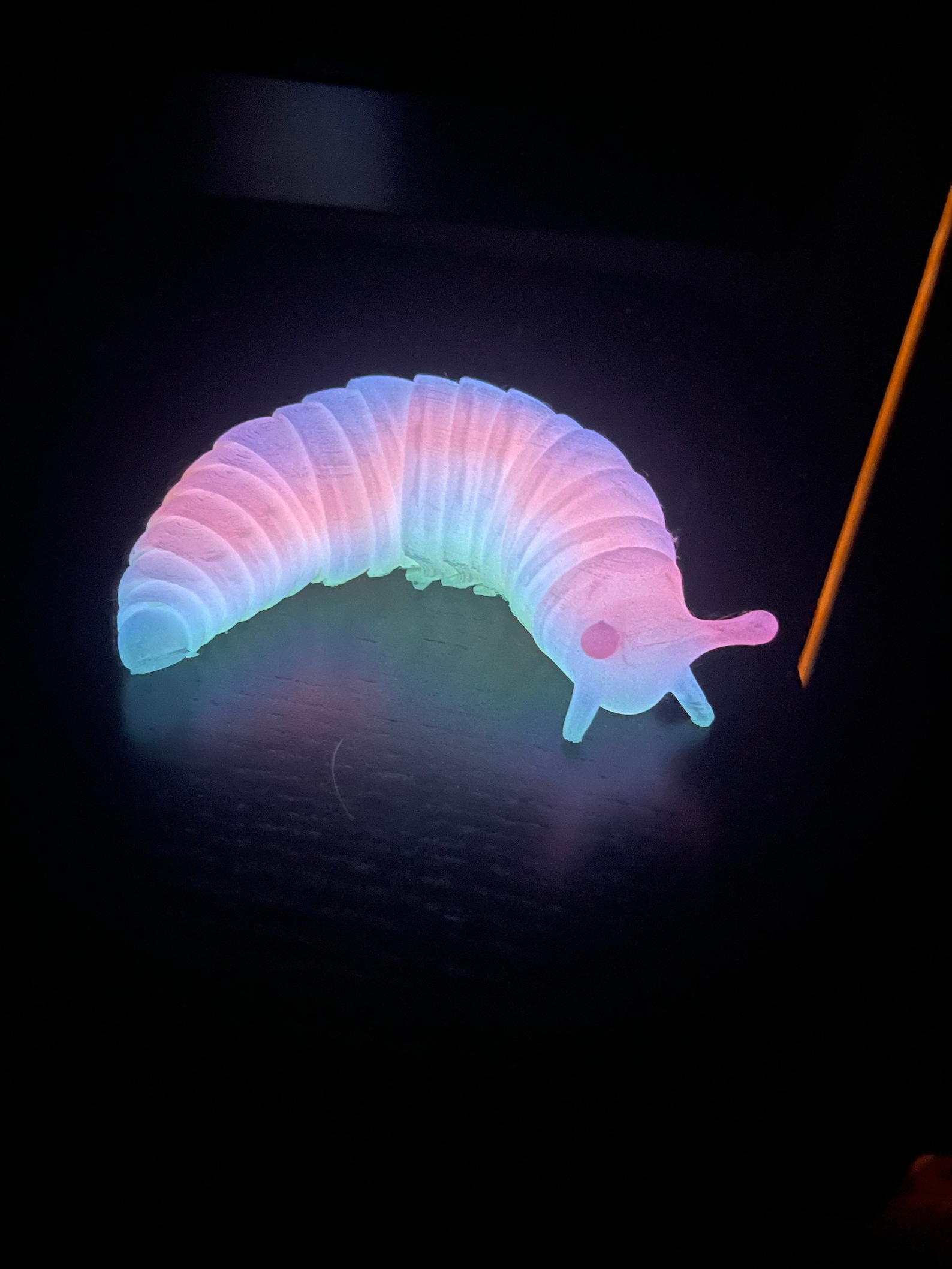 Sensory Cat Toy 3D Glow Slugs/worms Glow in the Dark Fidget - Etsy