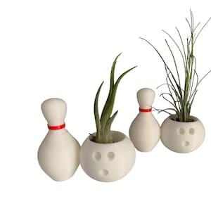Bowling Ball & Pin Indoor Planter: Succulent Vase - Etsy