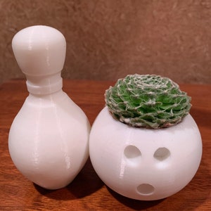 Bowling Ball & Pin Indoor Planter: Succulent Vase - Etsy
