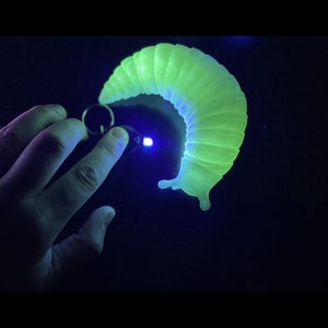 Glow in the Dark 3D Printed Slug: Articulating Fidget Toy - Etsy