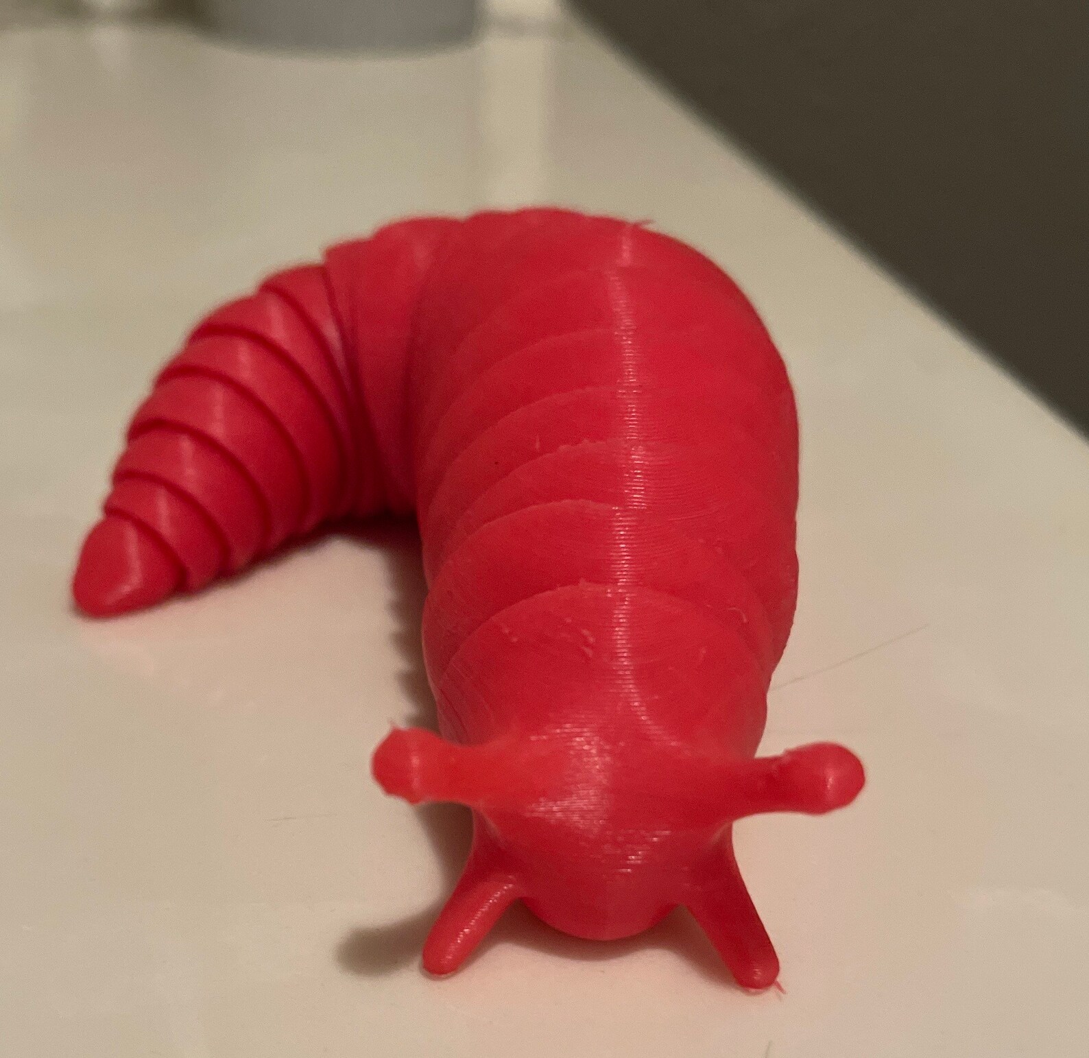Sensory 3D Printed Fidget Slug/ Fidget Worm / Fidget Slug / - Etsy