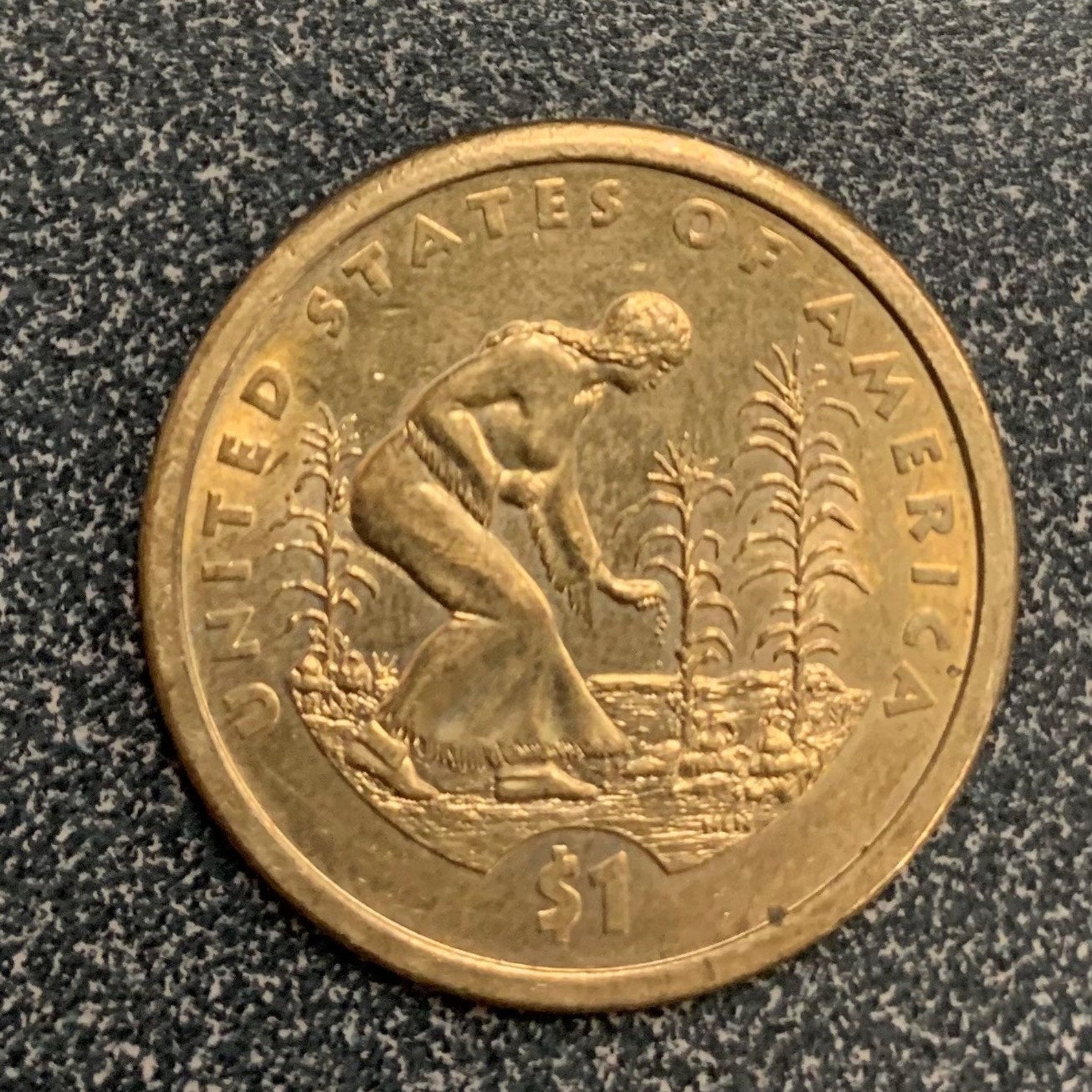 SUPER RARE Sacagawea No Date Dollar Coin 2009 P | Etsy