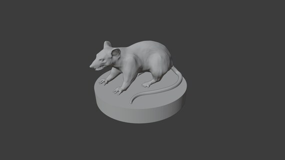 Giant Rat Miniature for D&d/pathfinder 0.25 Points | Etsy
