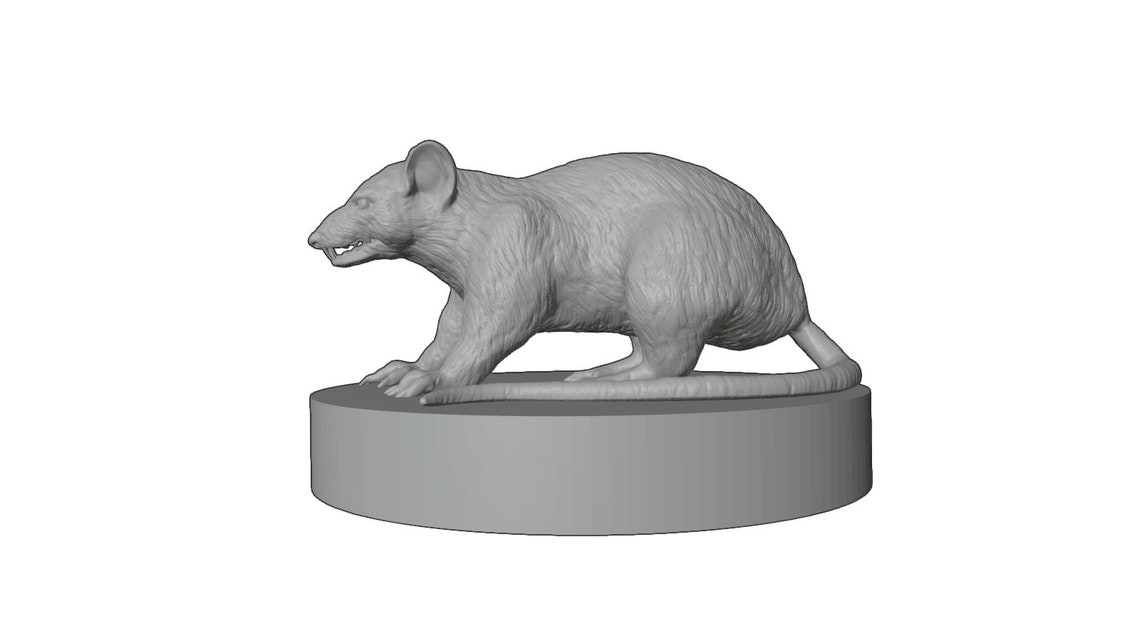 Giant Rat Miniature for D&d/pathfinder 0.25 Points - Etsy