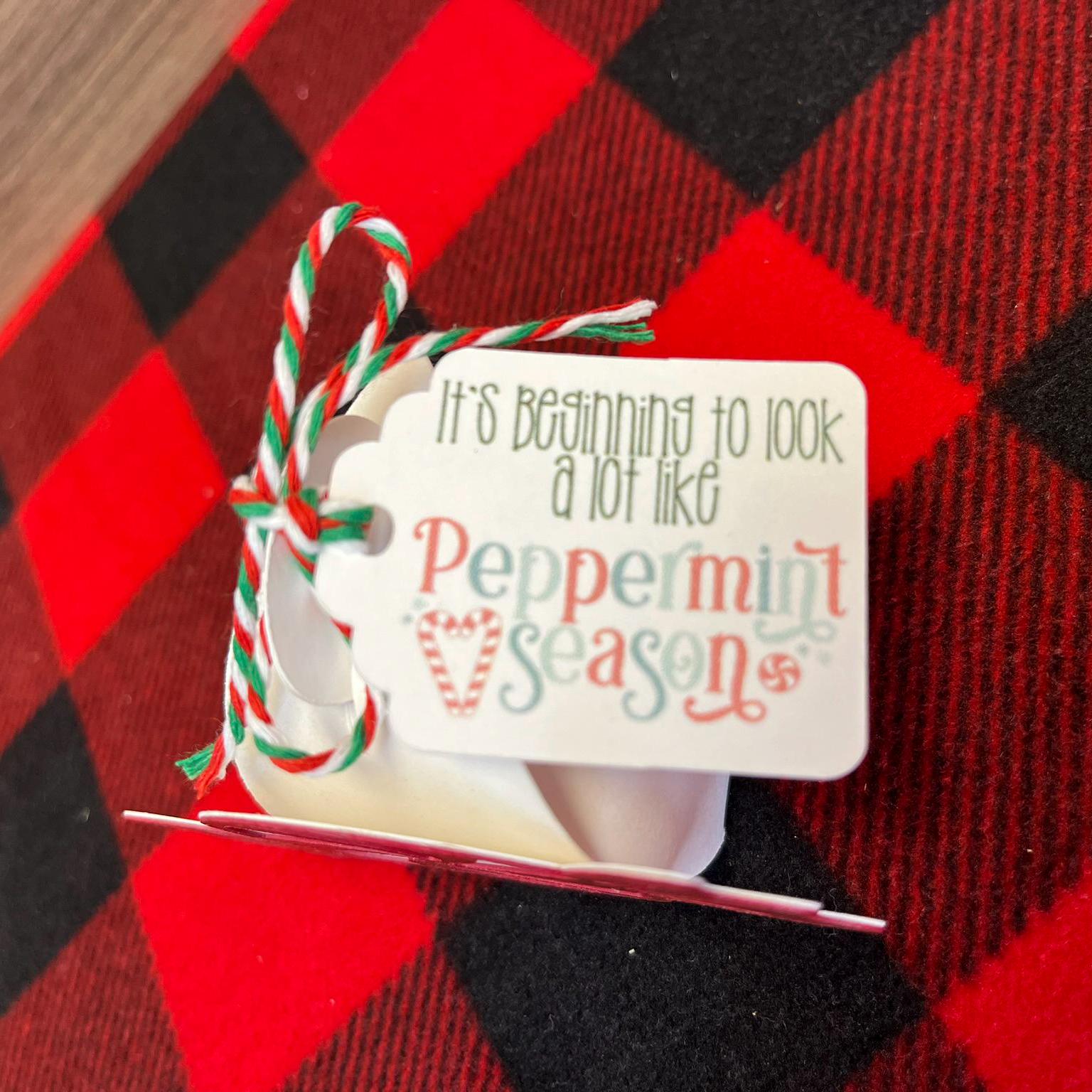 Mini Peppermint Treat Boxes: Christmas Party Favors, Set of 15 - Etsy