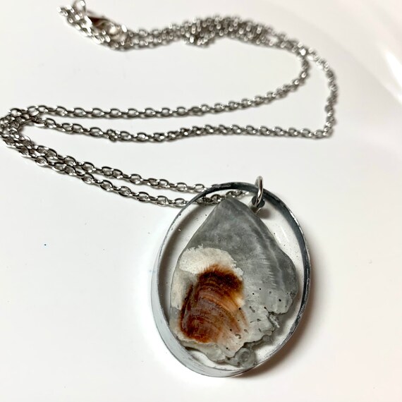 Floating Seashell - Etsy