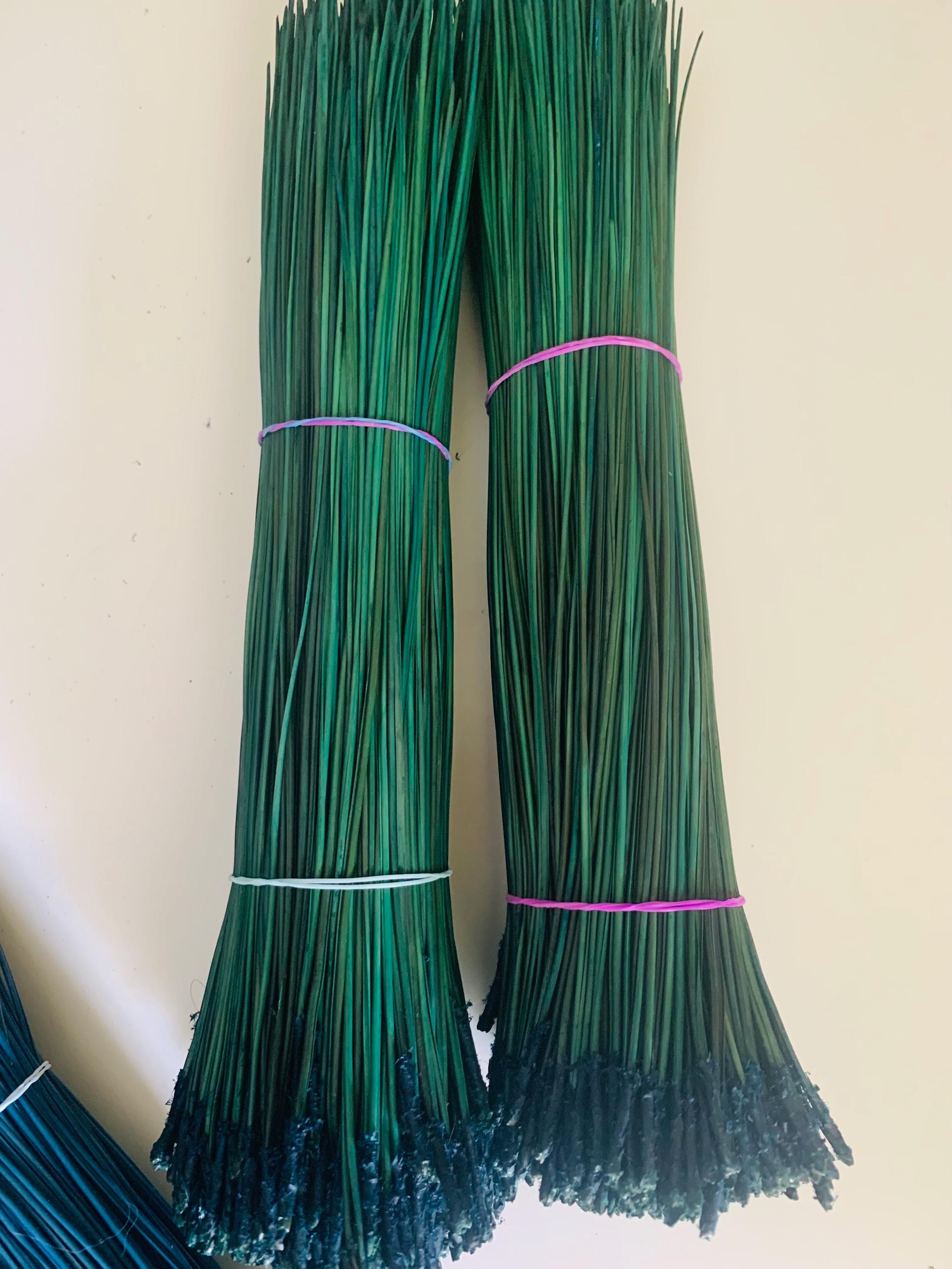 Colored Pine Needles (4oz) for Basketry and Crafts. - Etsy