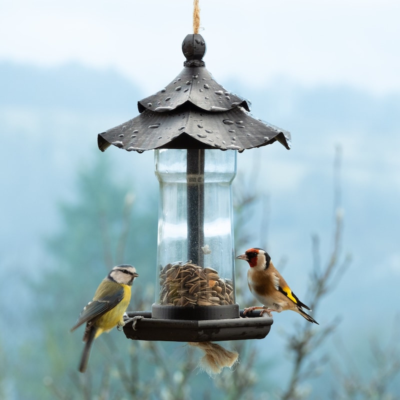 Pagoda Birdhouse - Etsy