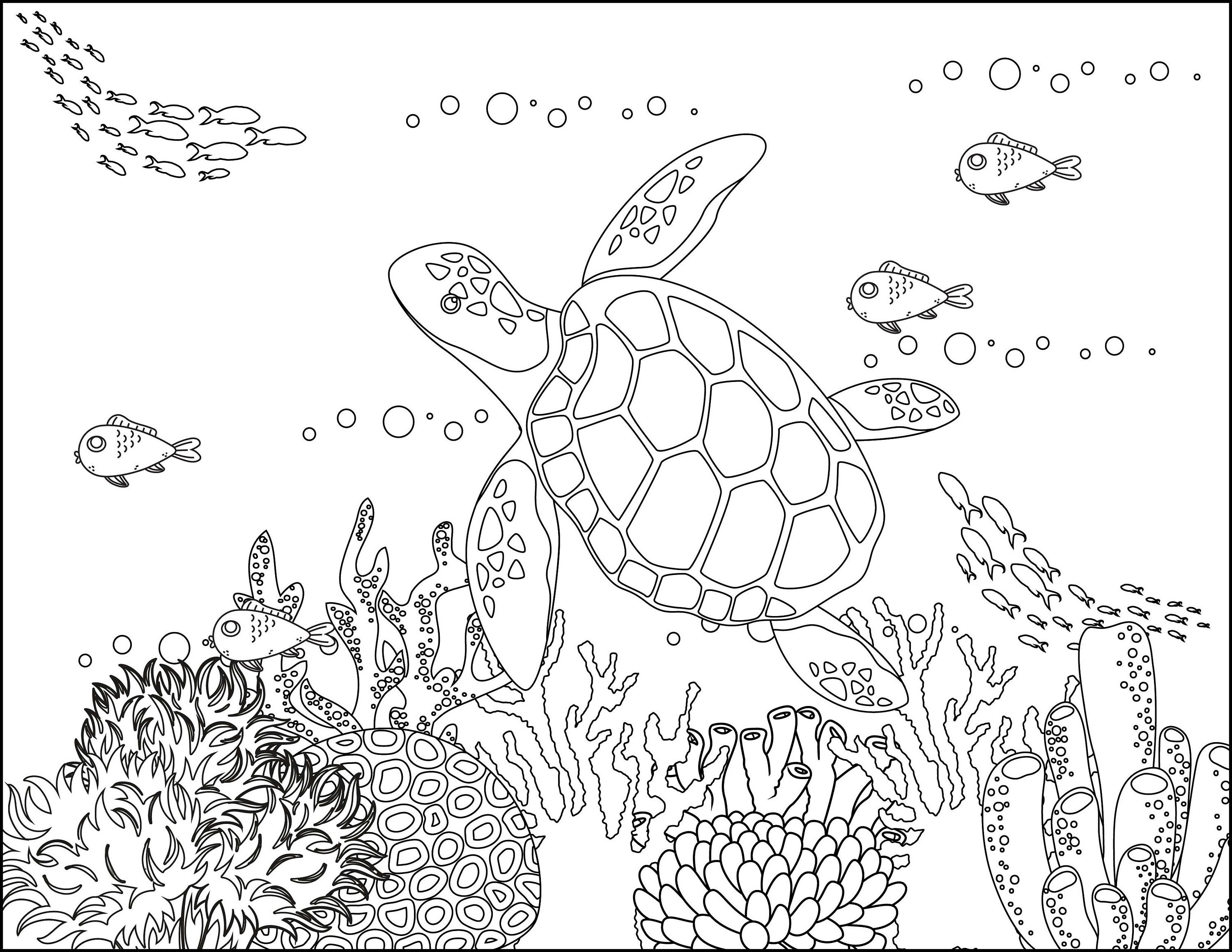 Sea Plants Coloring Pages