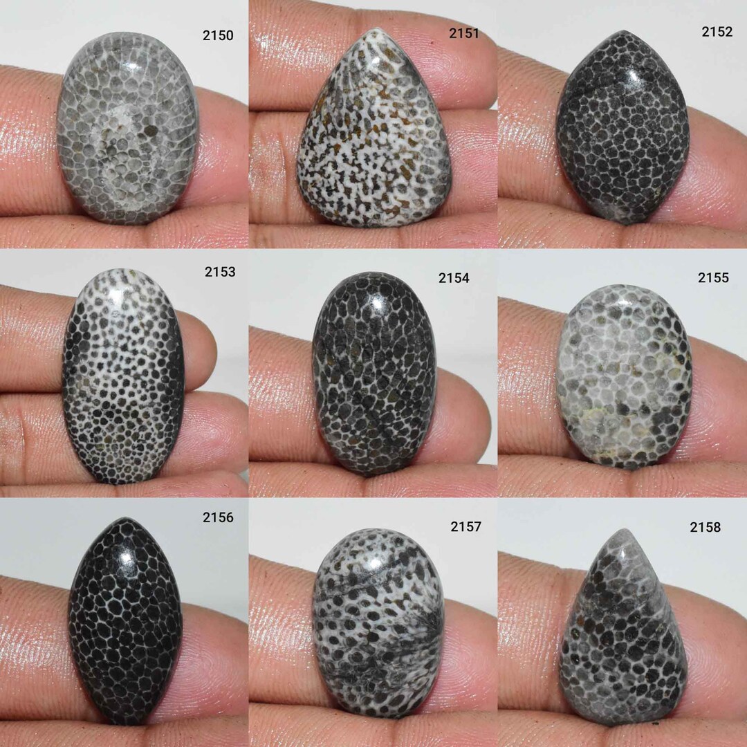 Beautiful Designer Black Fossil Coral Gemstone , Black Fossil Coral ...