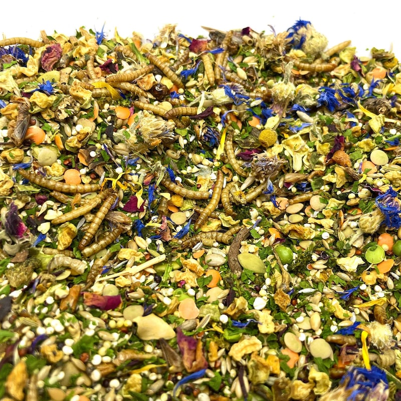 Hamster Spray Treats - Etsy