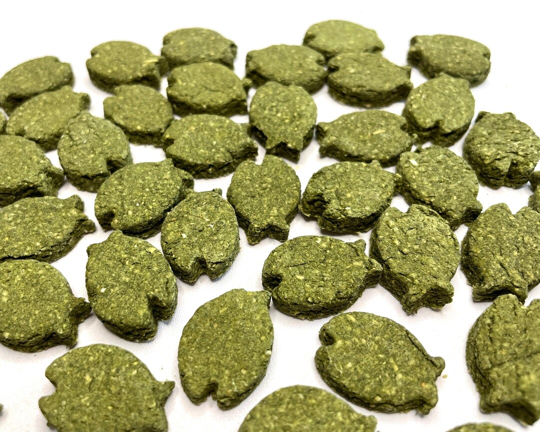 Hamster Greenies - Small Pet Treats - Etsy