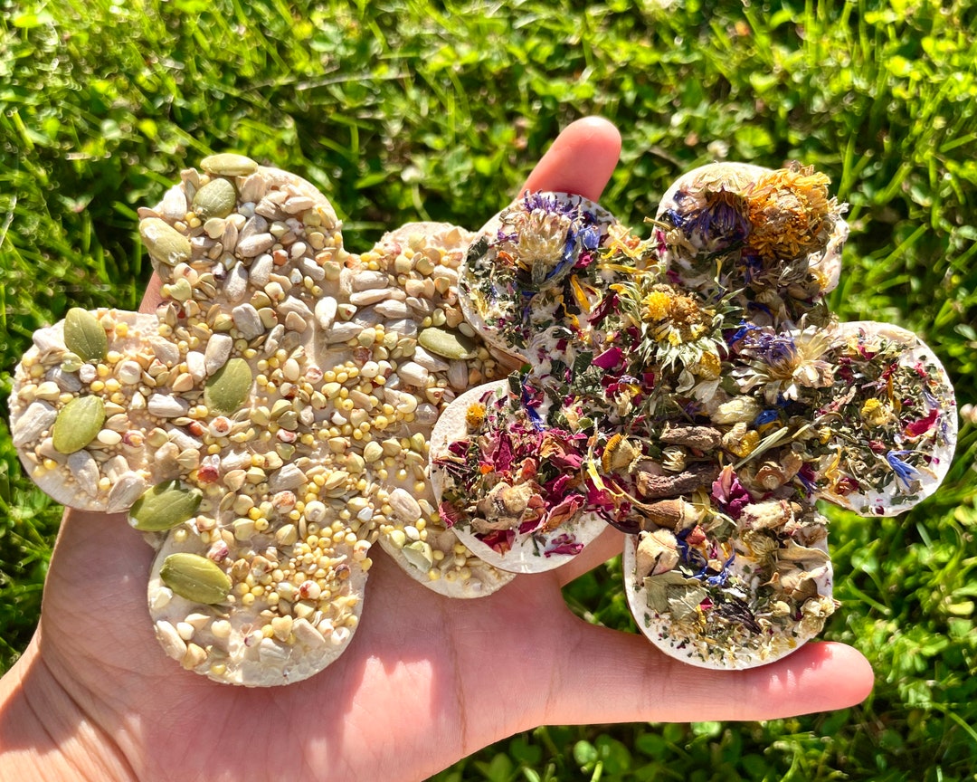 Flower and Seed Chews - Small Pet Chews - Etsy
