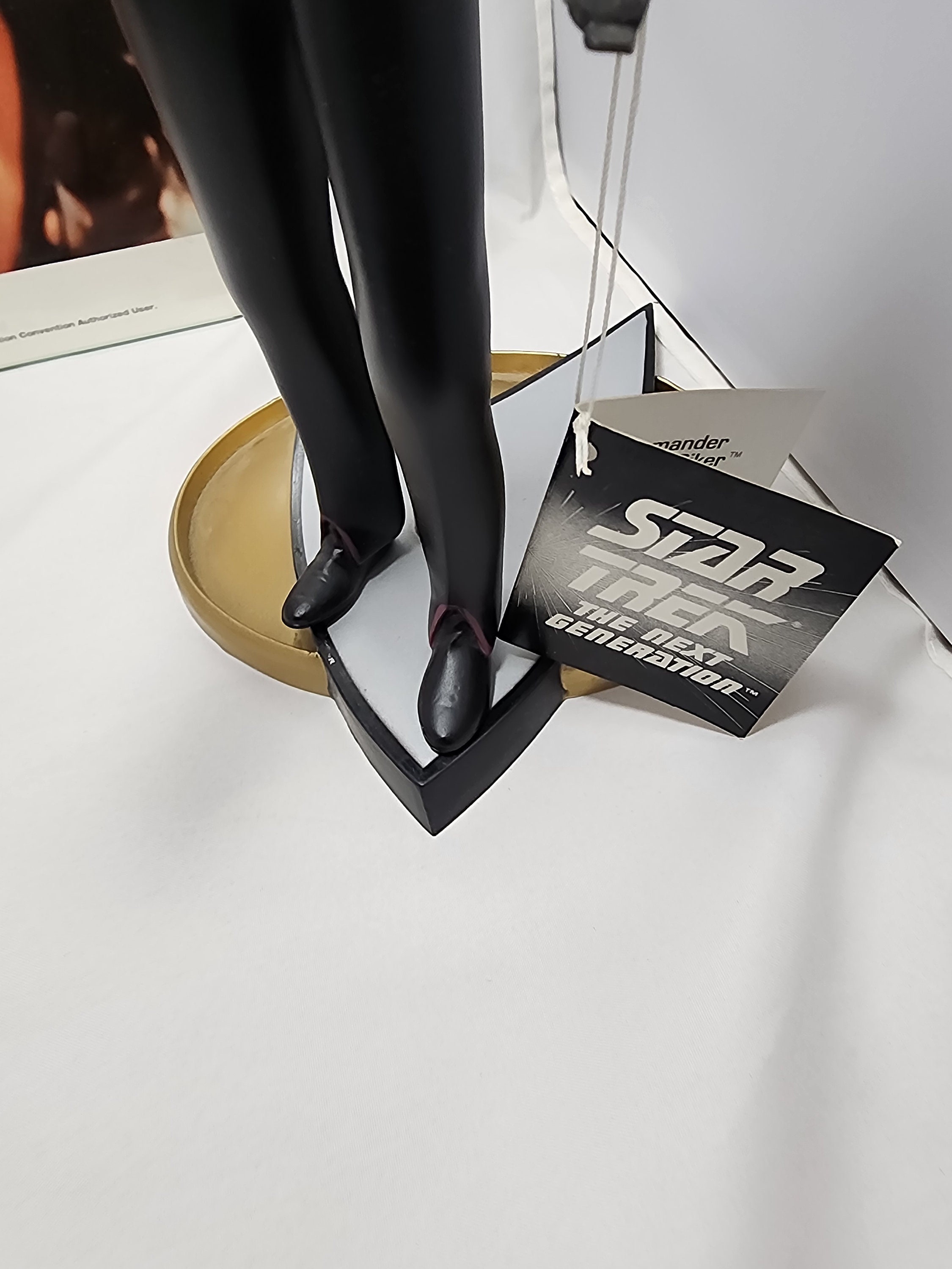 Star Trek Next Generation Deanna Troi and Commander William Riker 10 ...