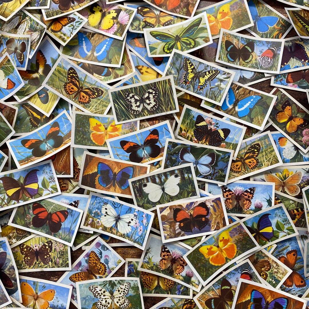 Bundles of 25 Brooke Bond Butterflies Cards - Etsy