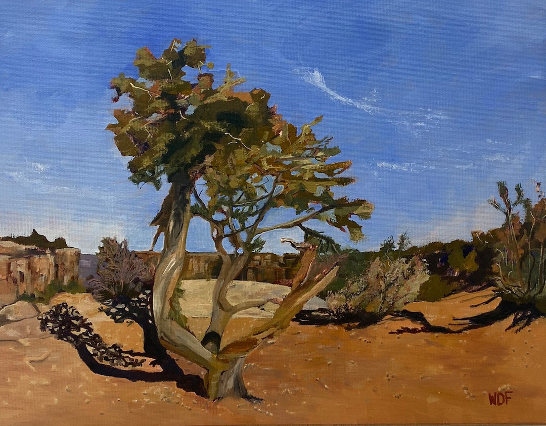 Original Oil Painting of a Juniper Tree by the Grand Canyon - Etsy