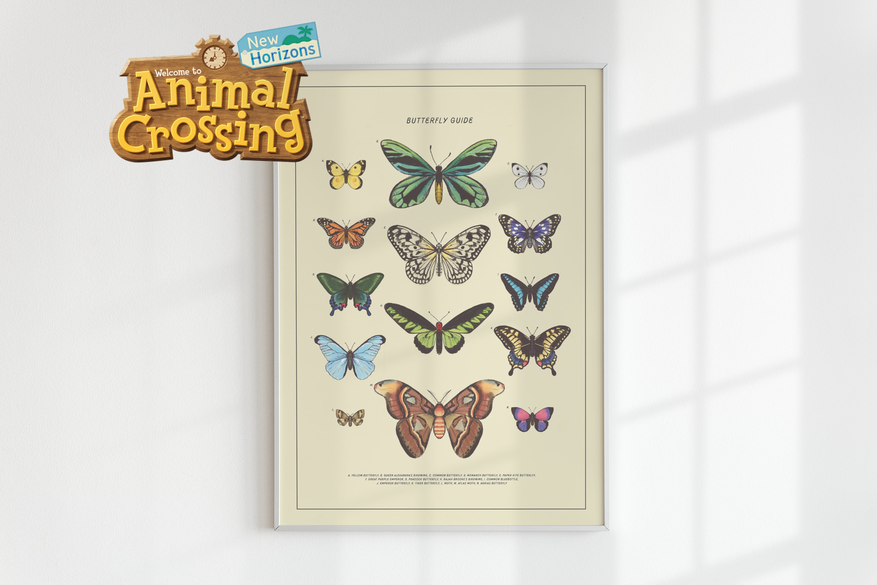 Peacock Butterfly Animal Crossing