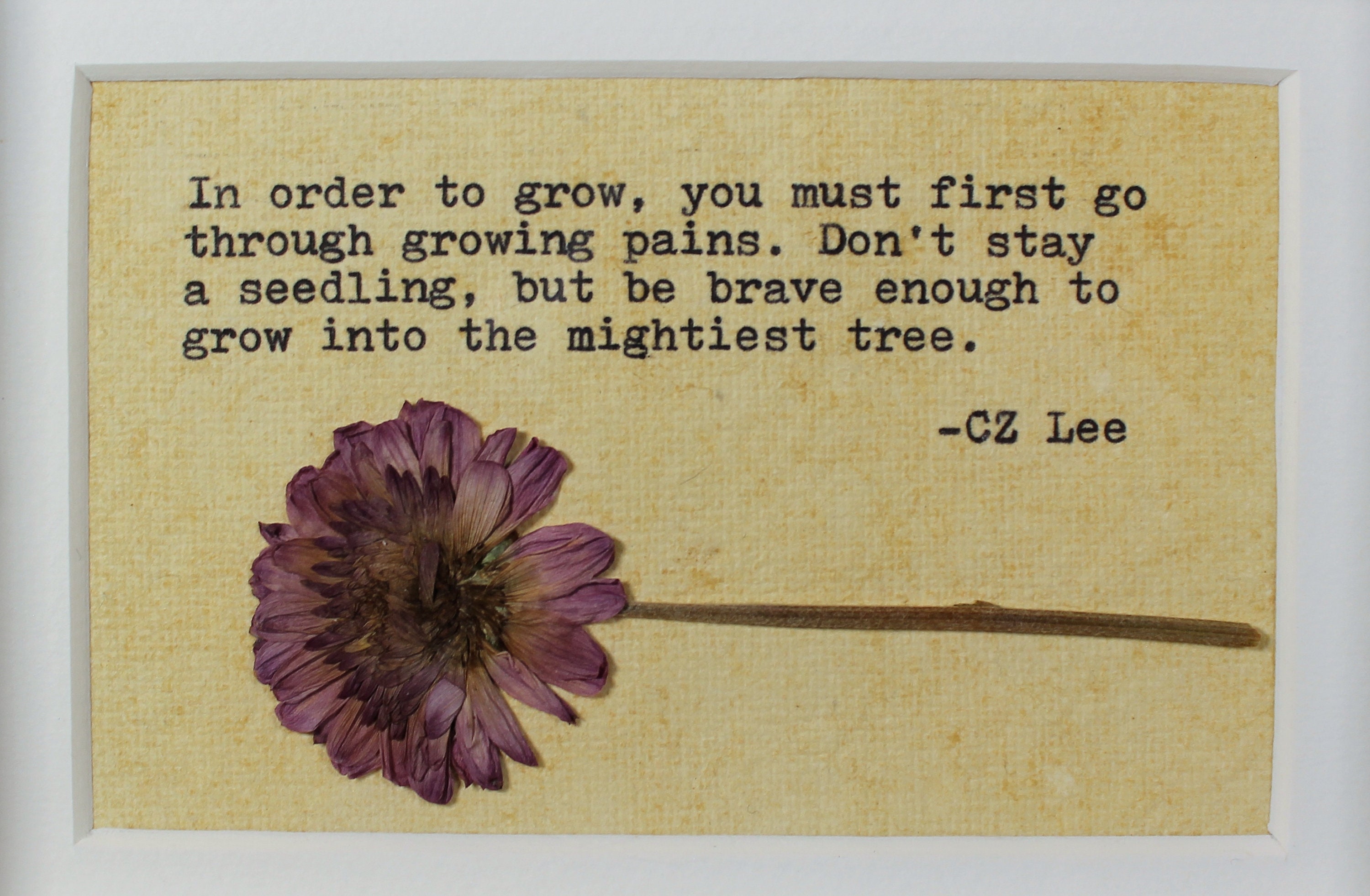 Growing Pains Original Quote Typewriter Poem Poetry Decor - Etsy