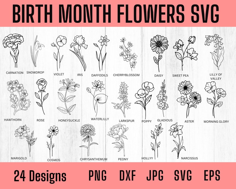 Birth Month Flower Svg Birth Flower Svg Birth Month Flowers - Etsy