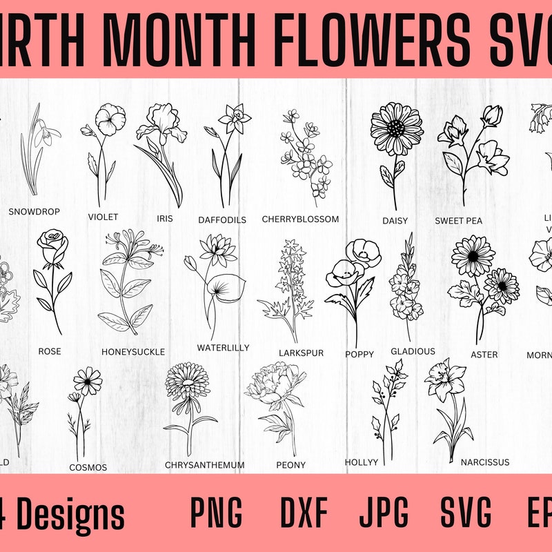 Birth Flower Svg - Etsy