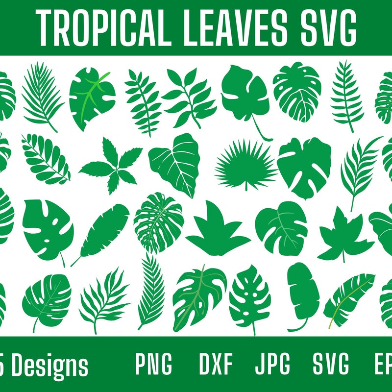 Tropical Svg - Etsy