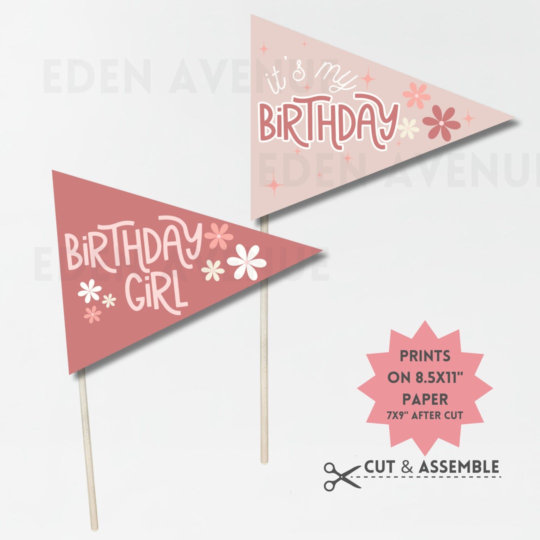Printable Birthday Party Pennant Flags, Instant Download, Girl Birthday ...