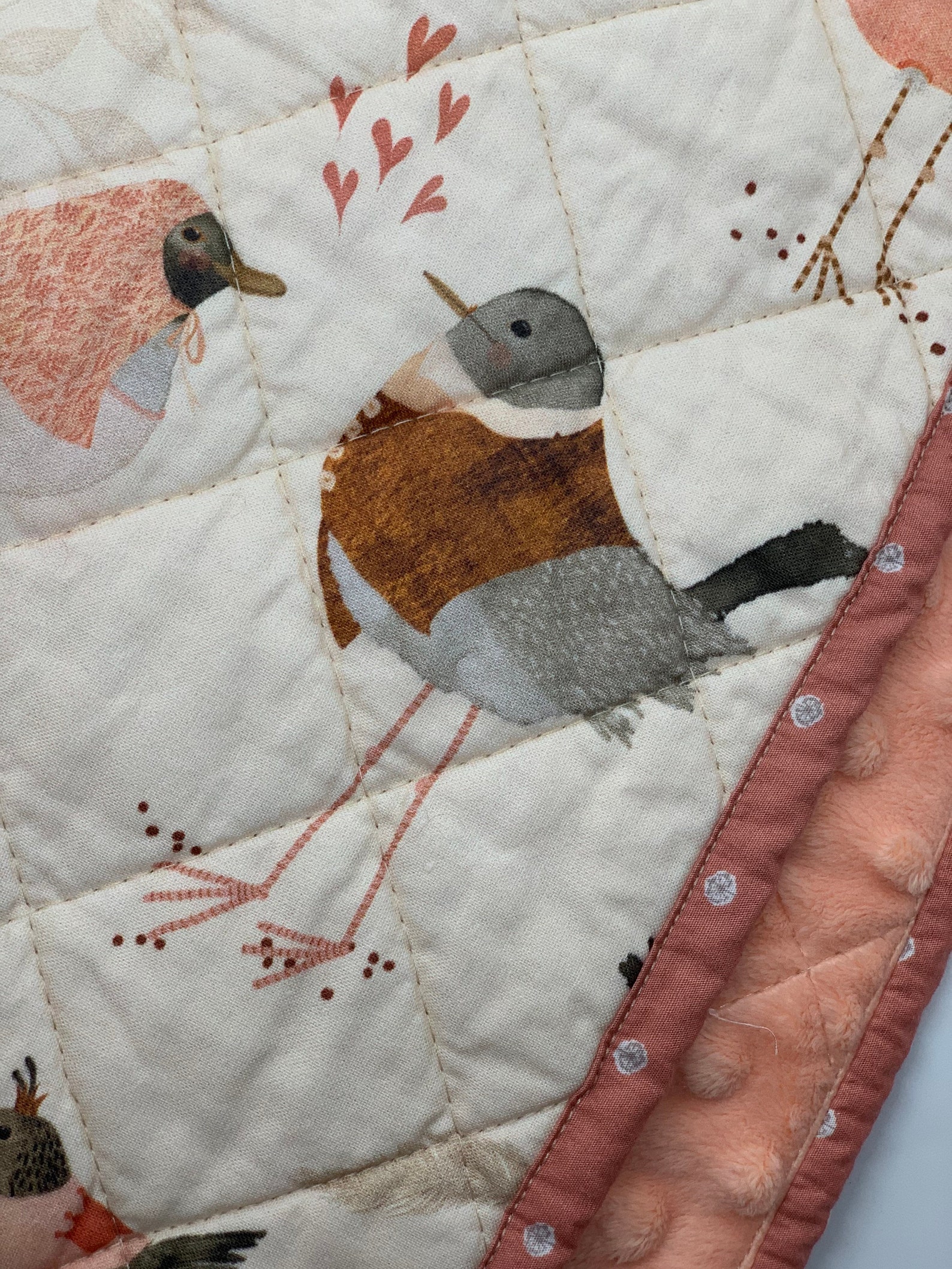 Bird Aviary Wholecloth Babys Quilt - Etsy
