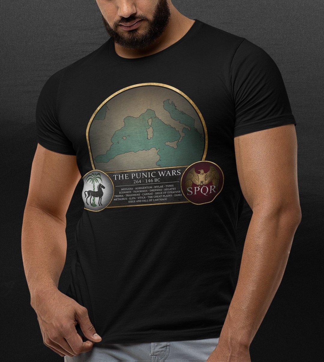 The Punic Wars - Battles of the Three Punic Wars - Rome Vs Carthage ...