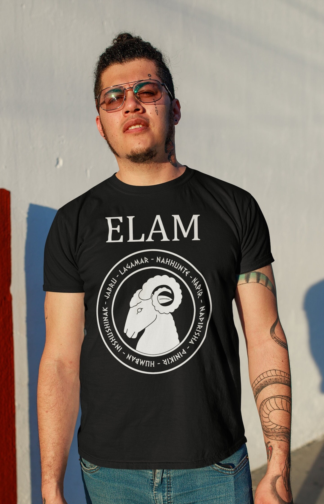 Elam Ancient Elamite Gods Bronze Age Civilization Elam T-shirt - Etsy