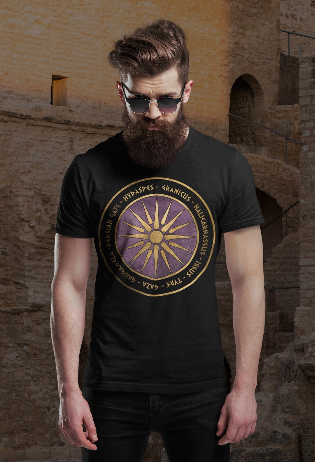 Alexander the Great Battles Ancient Greek History T-shirt - Etsy