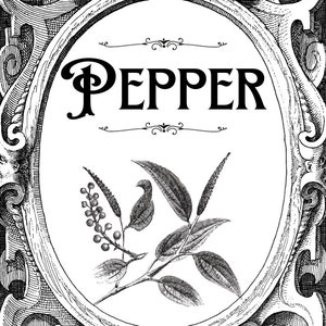 Apothecary Style Herb and Spice Labels Printable - Etsy