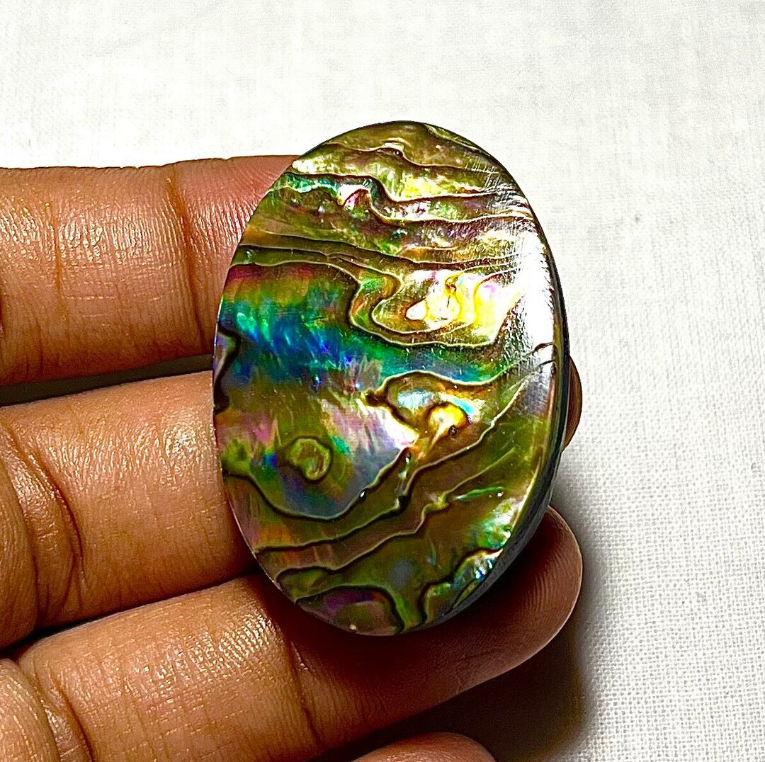 Very Gorgeous Abalone Shell Cabochons Natural Abalone Shall Gemstone ...